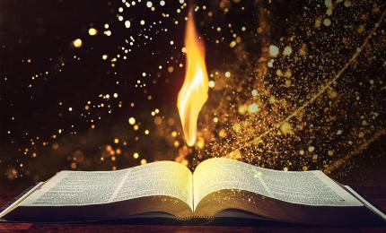 Home | Koinonia House